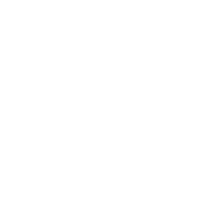 The Ultimate Playbook for Modernizing P&C Performance