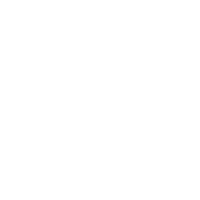 The Ultimate Playbook for Modernizing P&C Performance